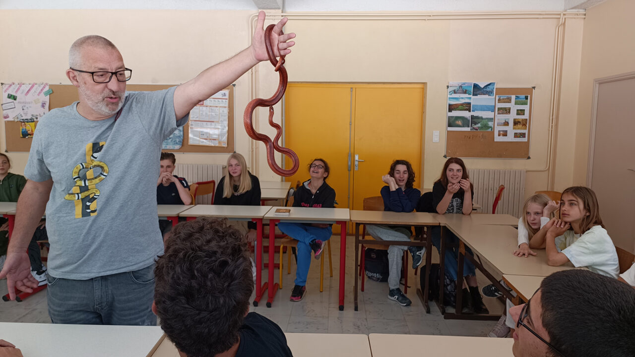 Ambassadeurs pour la protection des serpents - La Cordeille